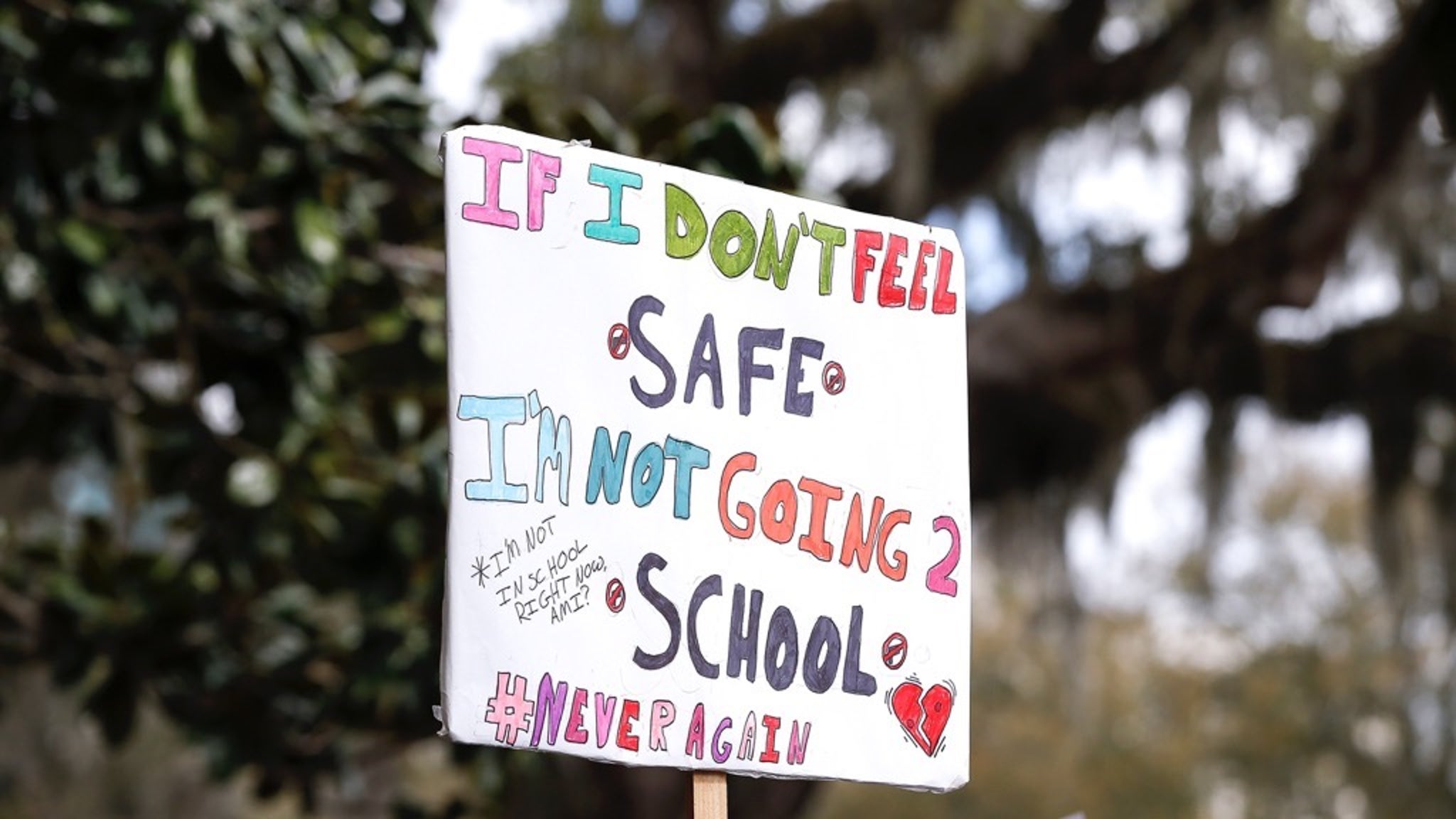 Parkland Students Protest at Florida State Capitol