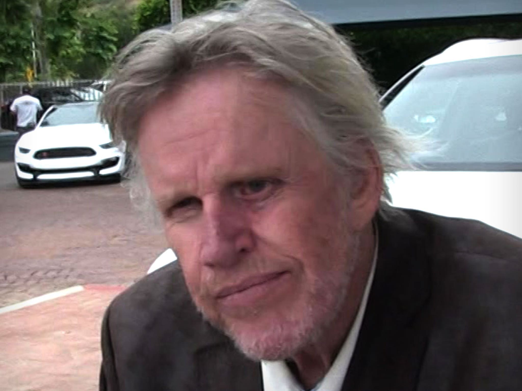 Gary Busey Arrest Photo