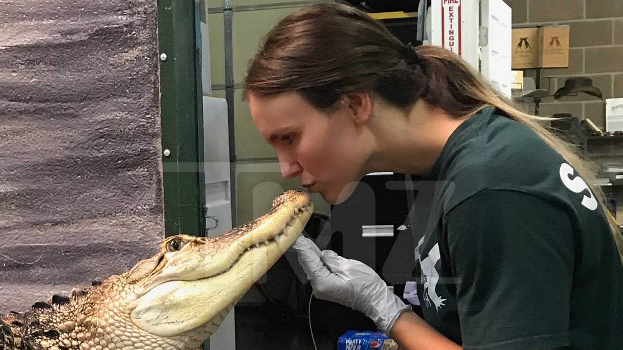 Alligator Bite Wounds