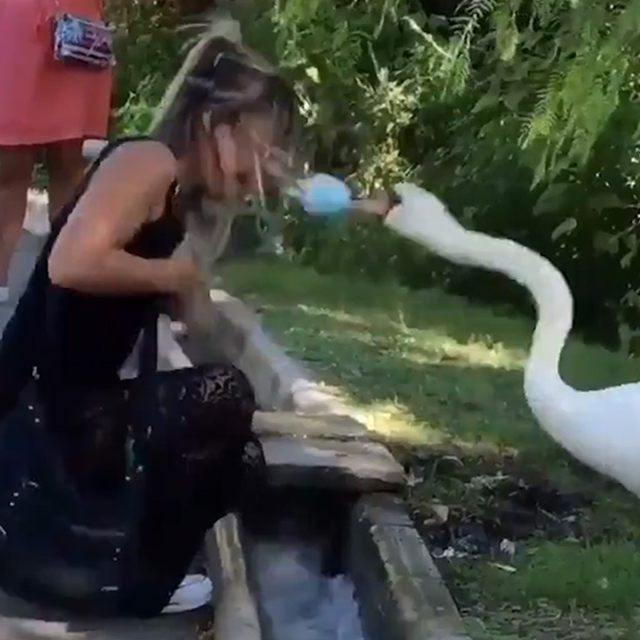 Swan Mask
