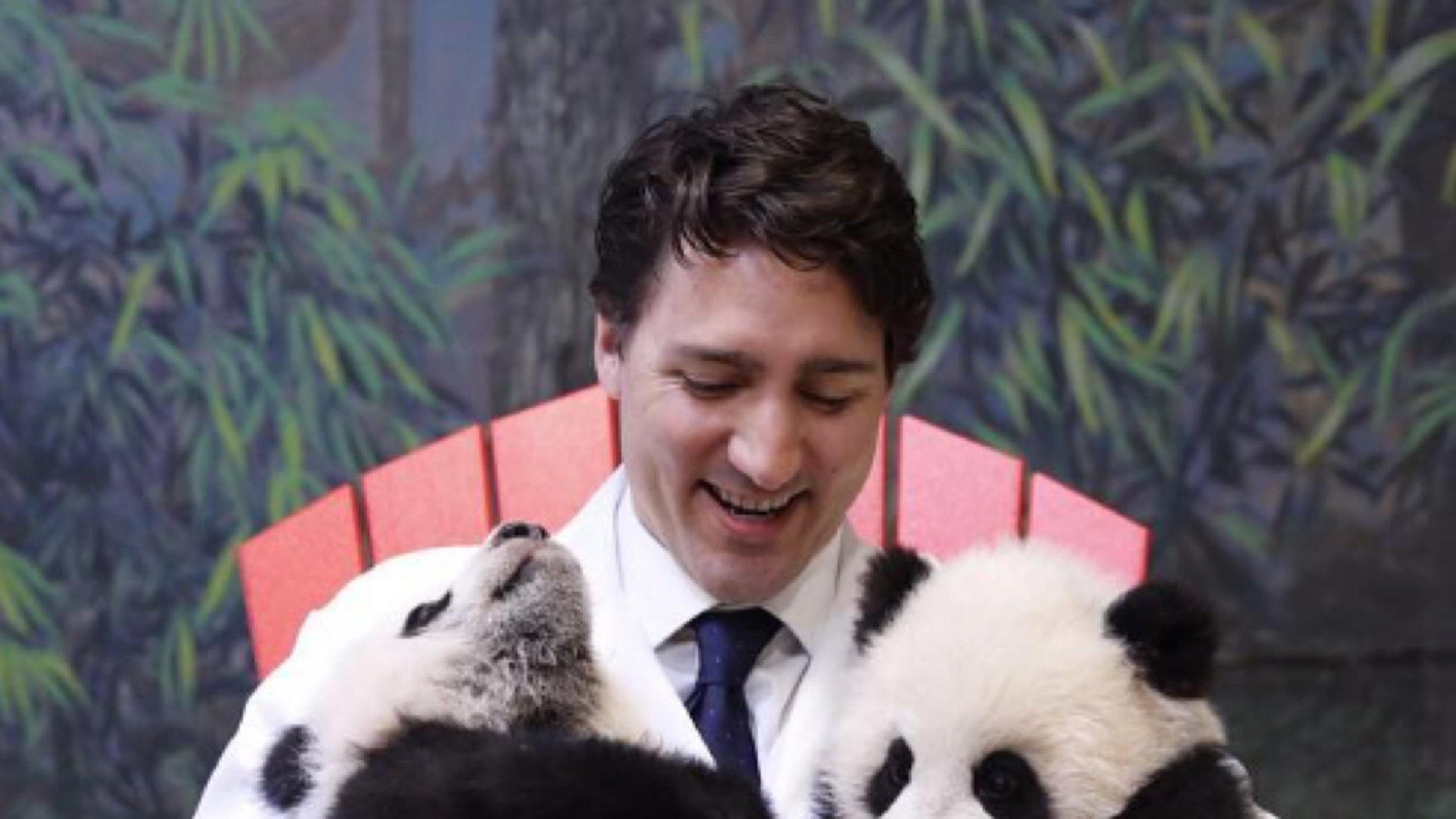 Justin Trudeau in Action