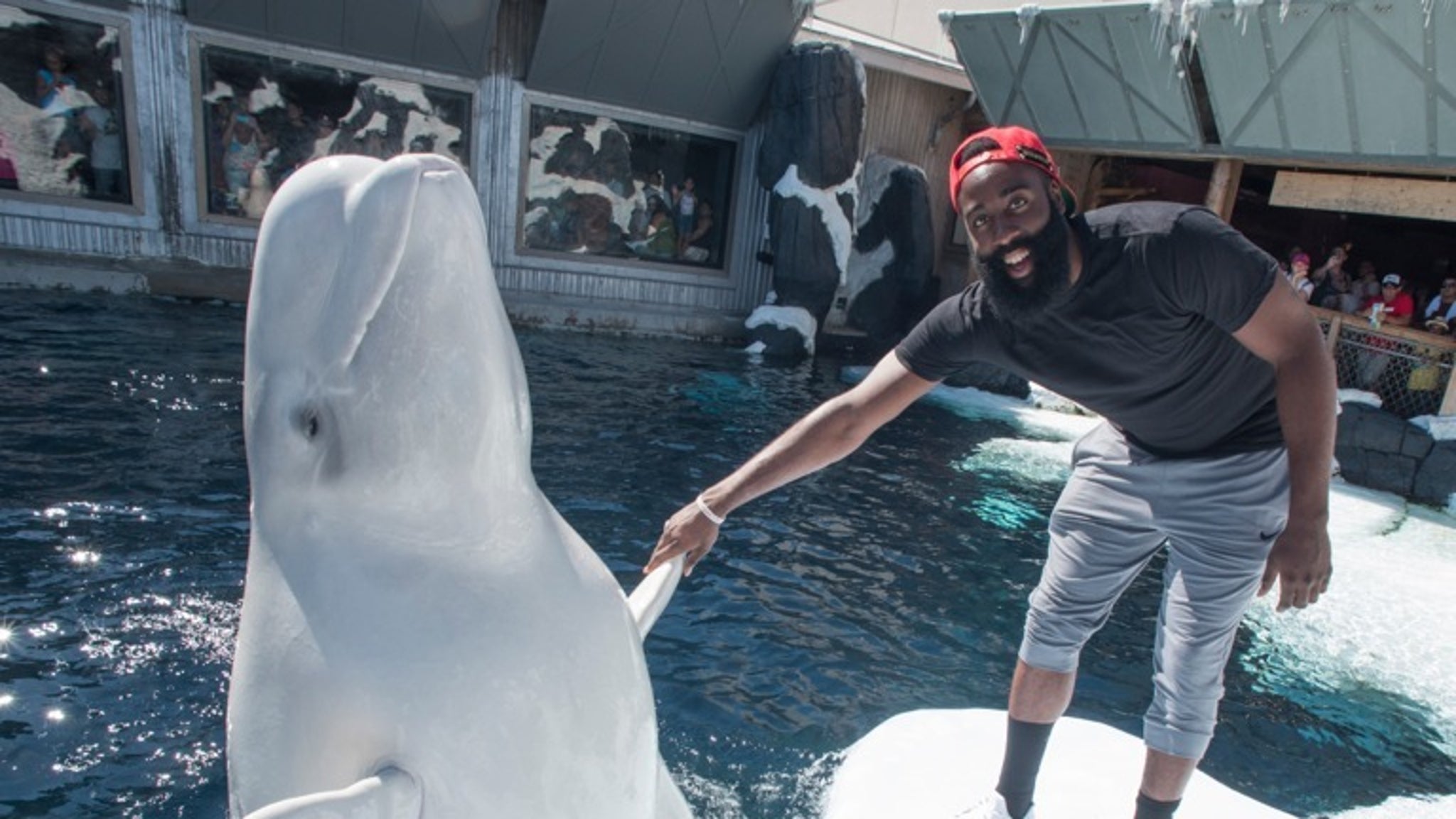 Celebrities at SeaWorld