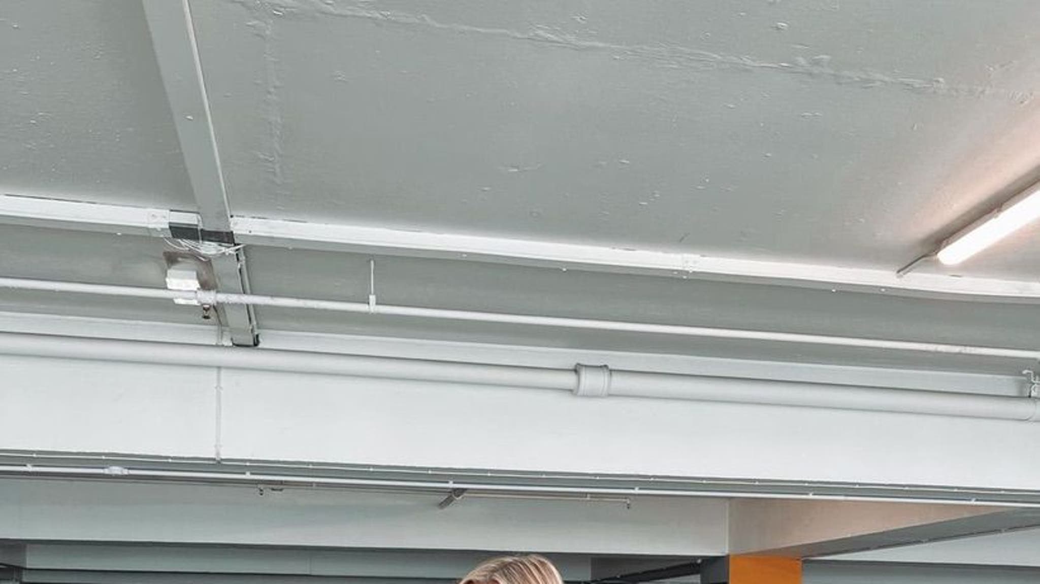 Celebrity Whale Tails Guess Who!