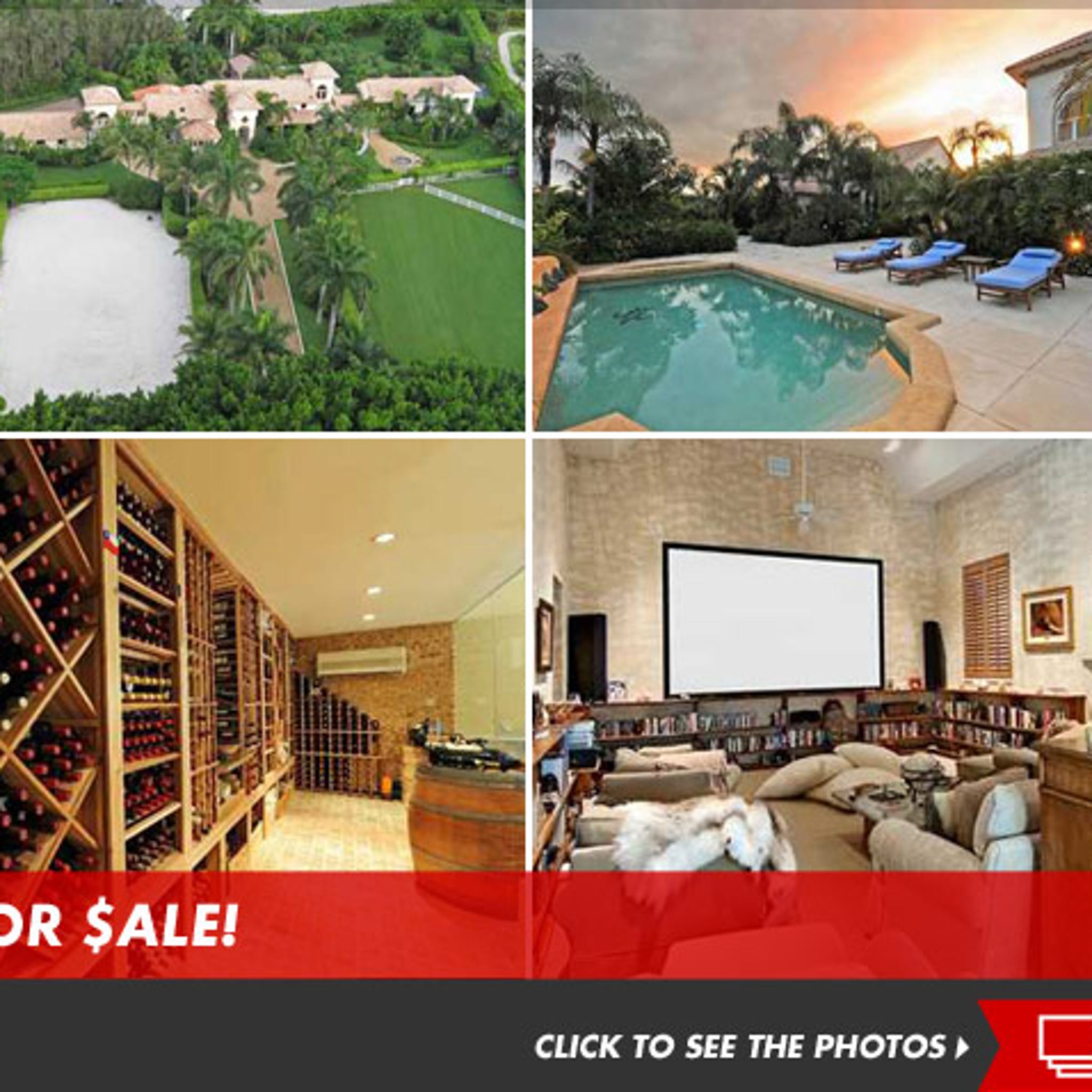 Bill Gates Swimming Pool