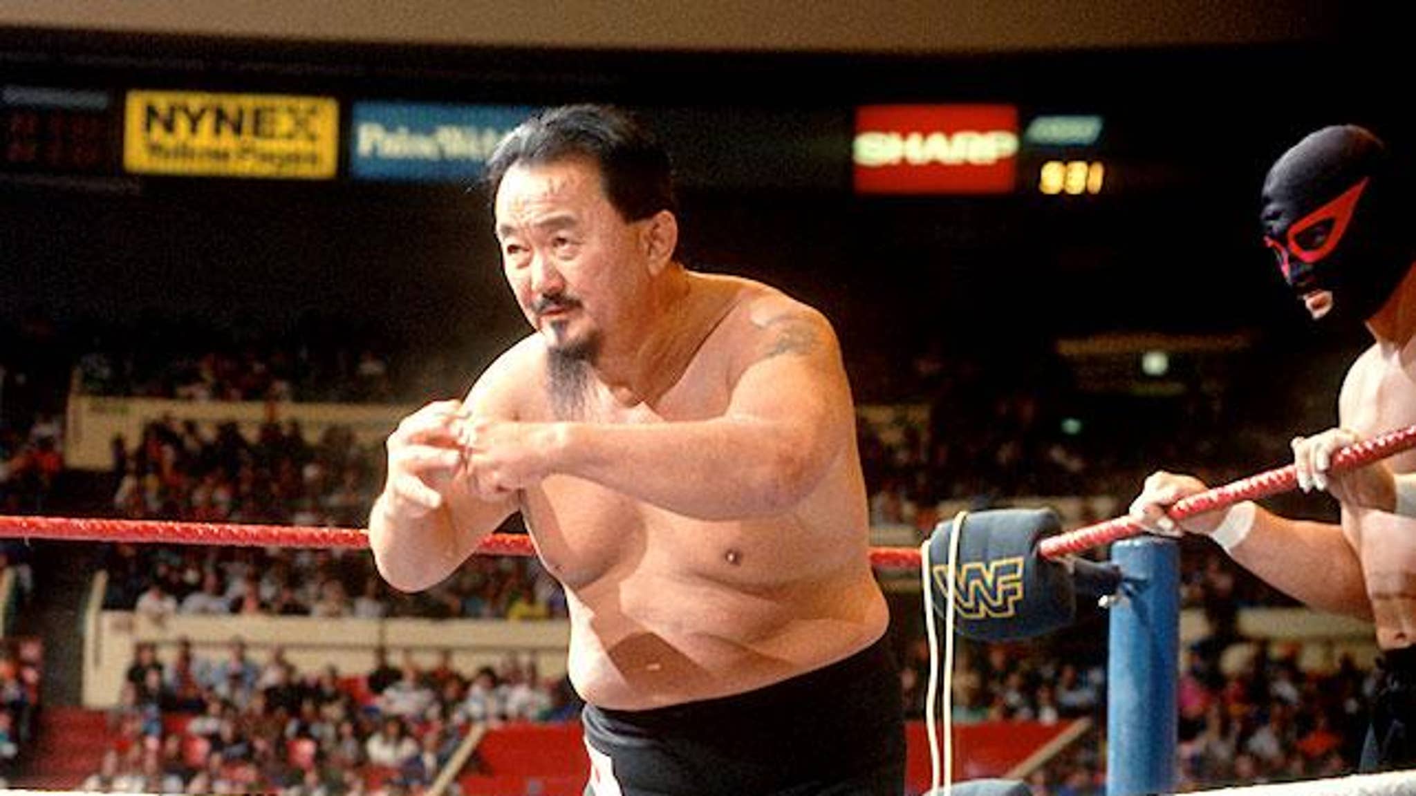 Remembering Mr. Fuji