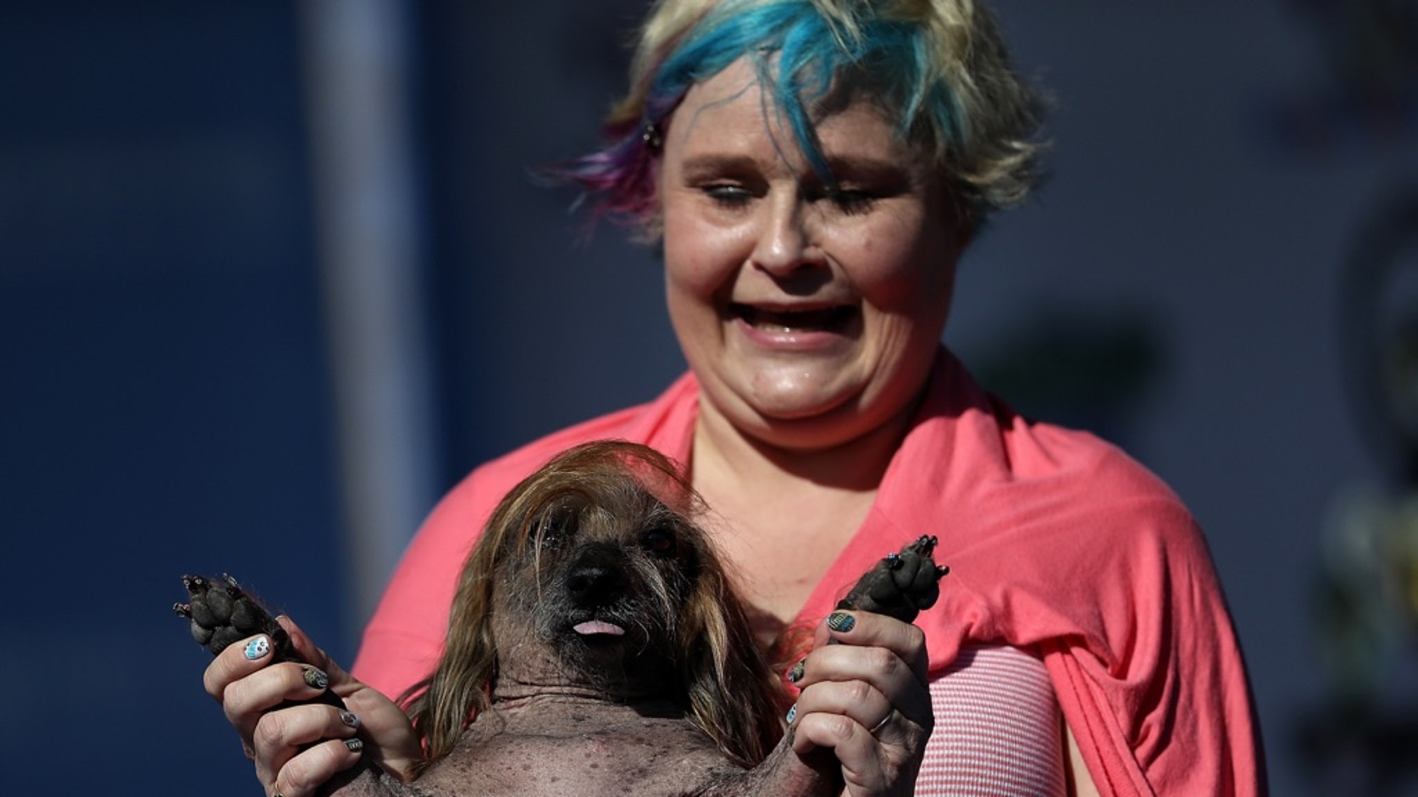 2017 World's Ugliest Dog Contest