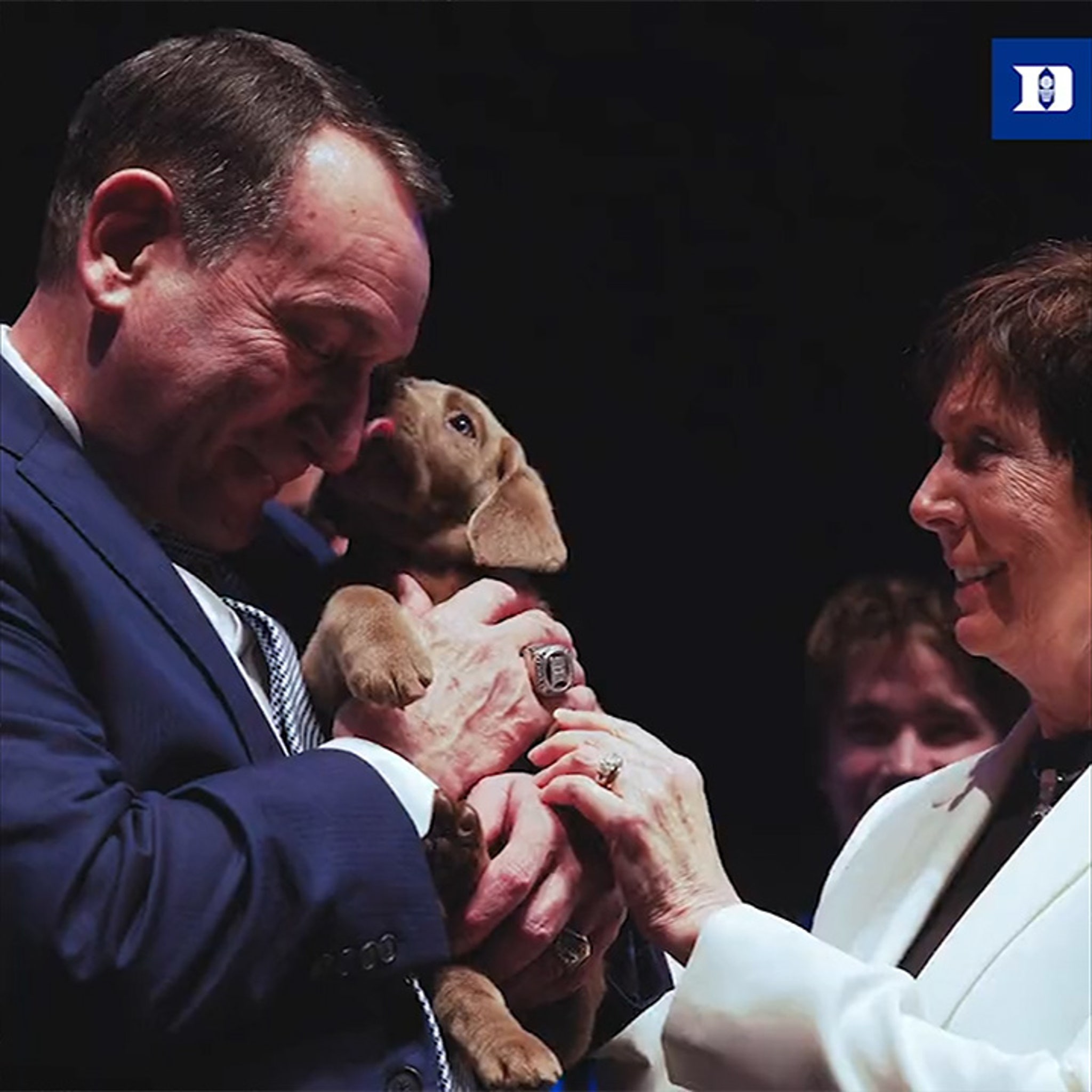 Retired Coach K Spends Afternoon Screaming At Ducks To Get Back On ...