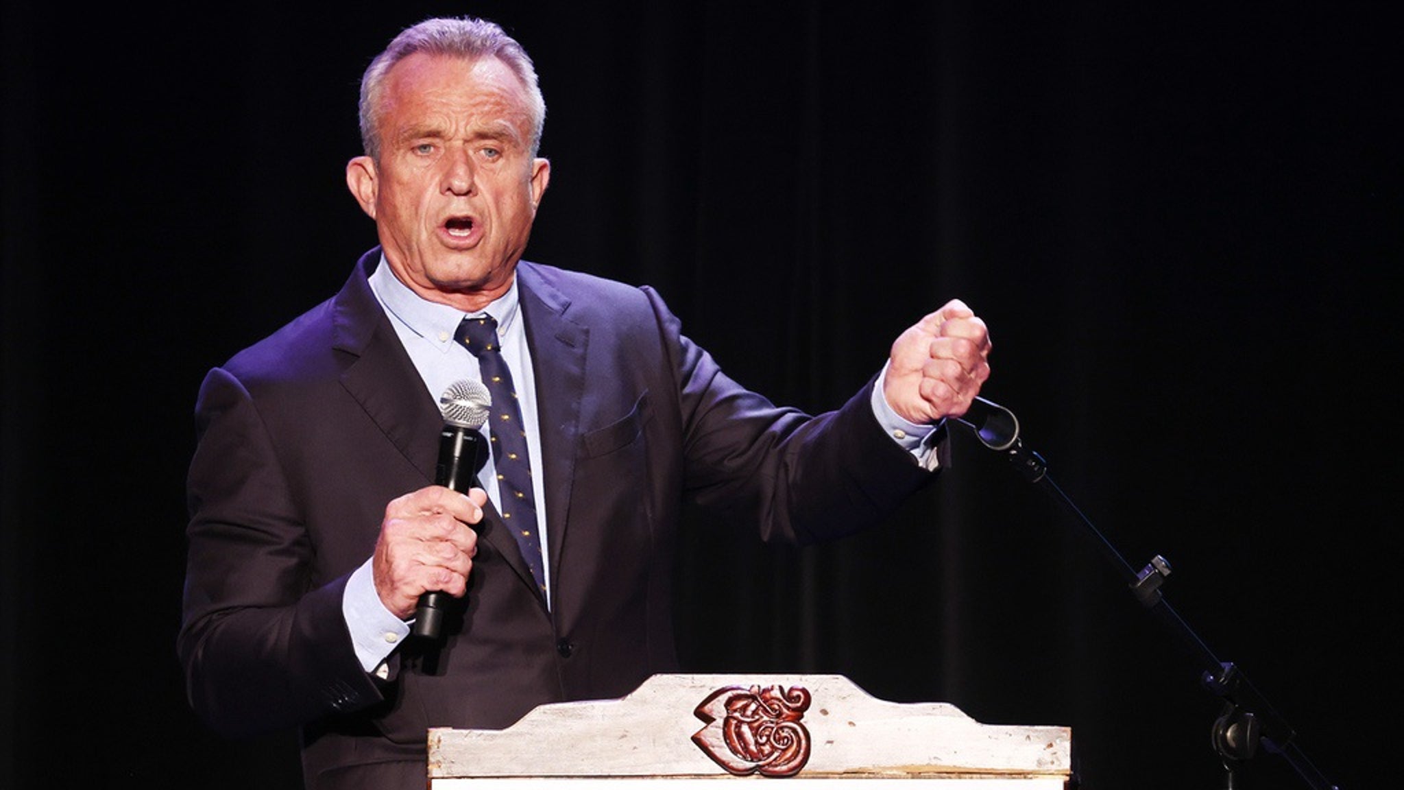 Robert F. Kennedy Jr. Campaign 2024