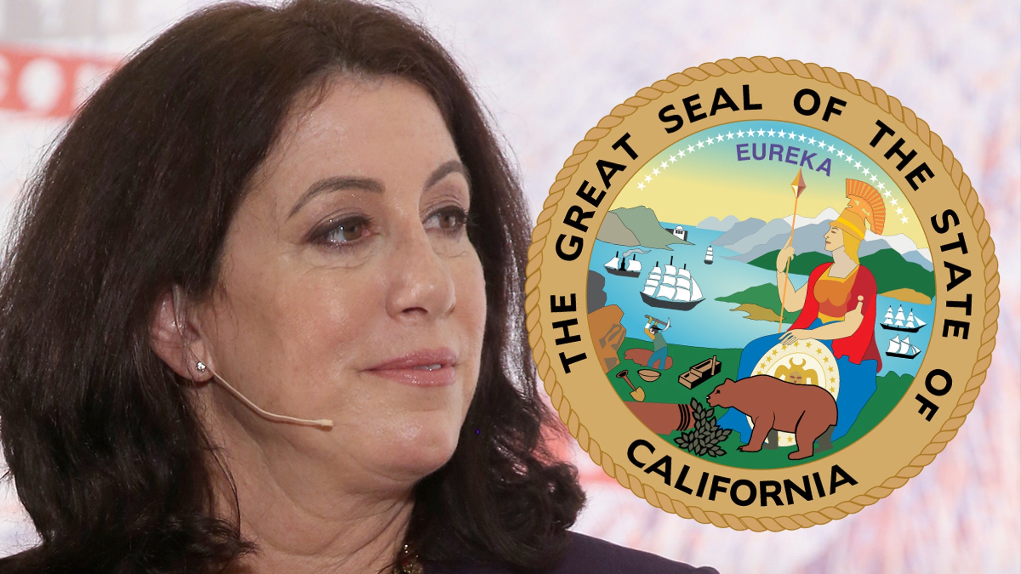 Nancy Pelosi's Daughter Christine Is Running for California Senate