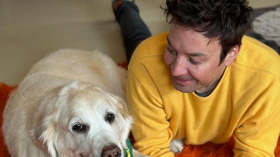 Jimmy Fallon's Dog