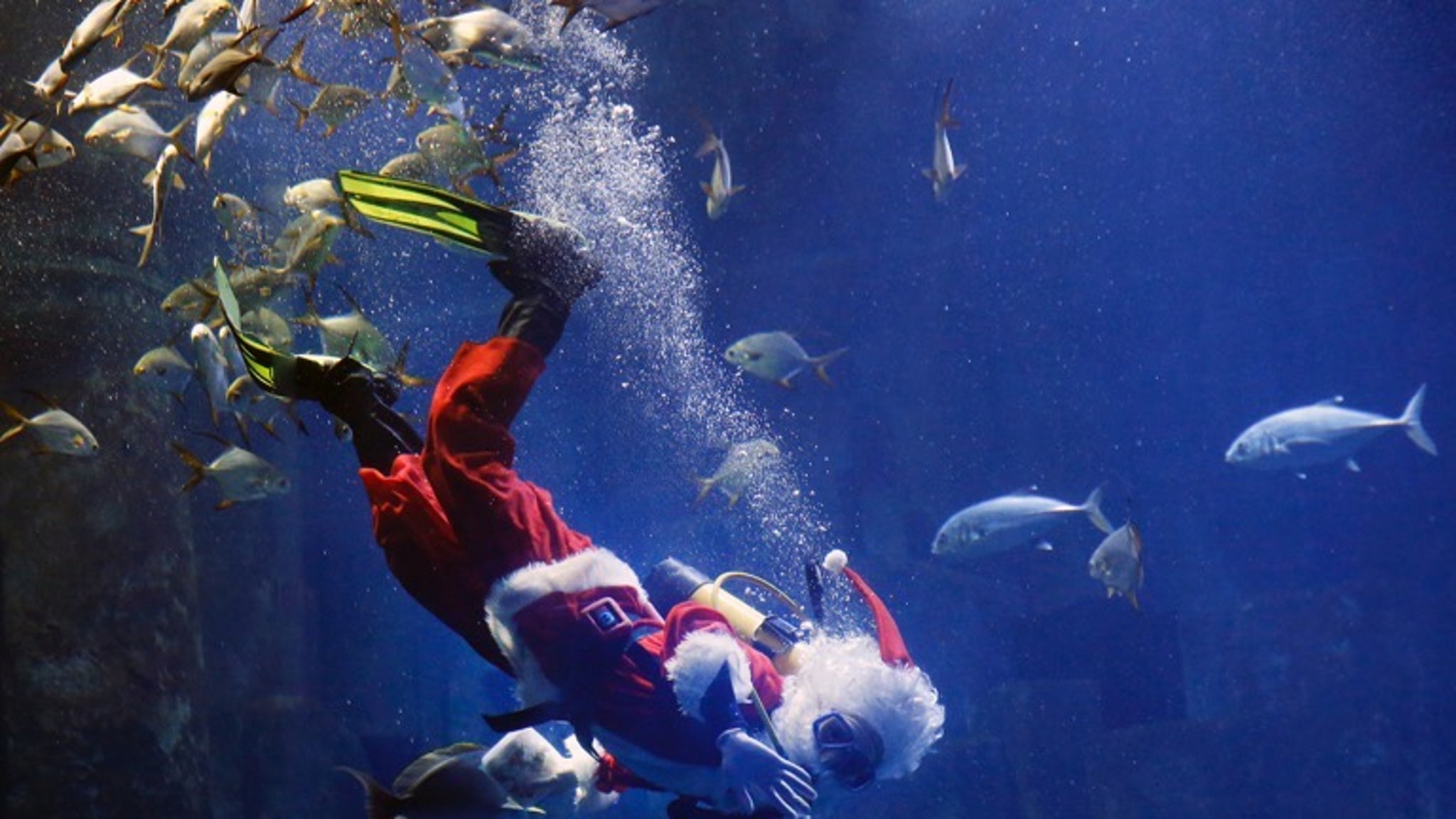 Scuba Divin' Santa -- Under the Sea
