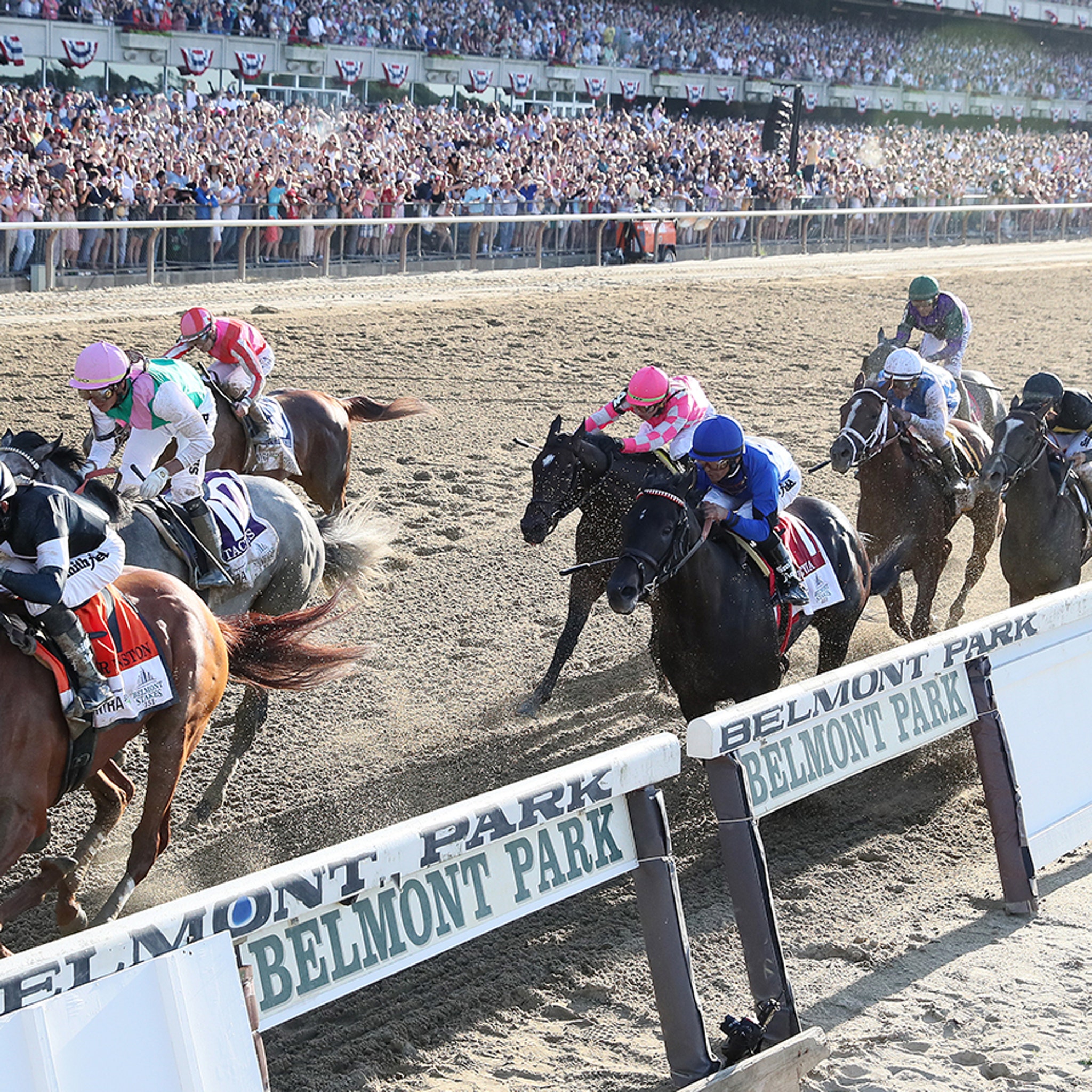 Are Dogs Allowed At Belmont Racetrack