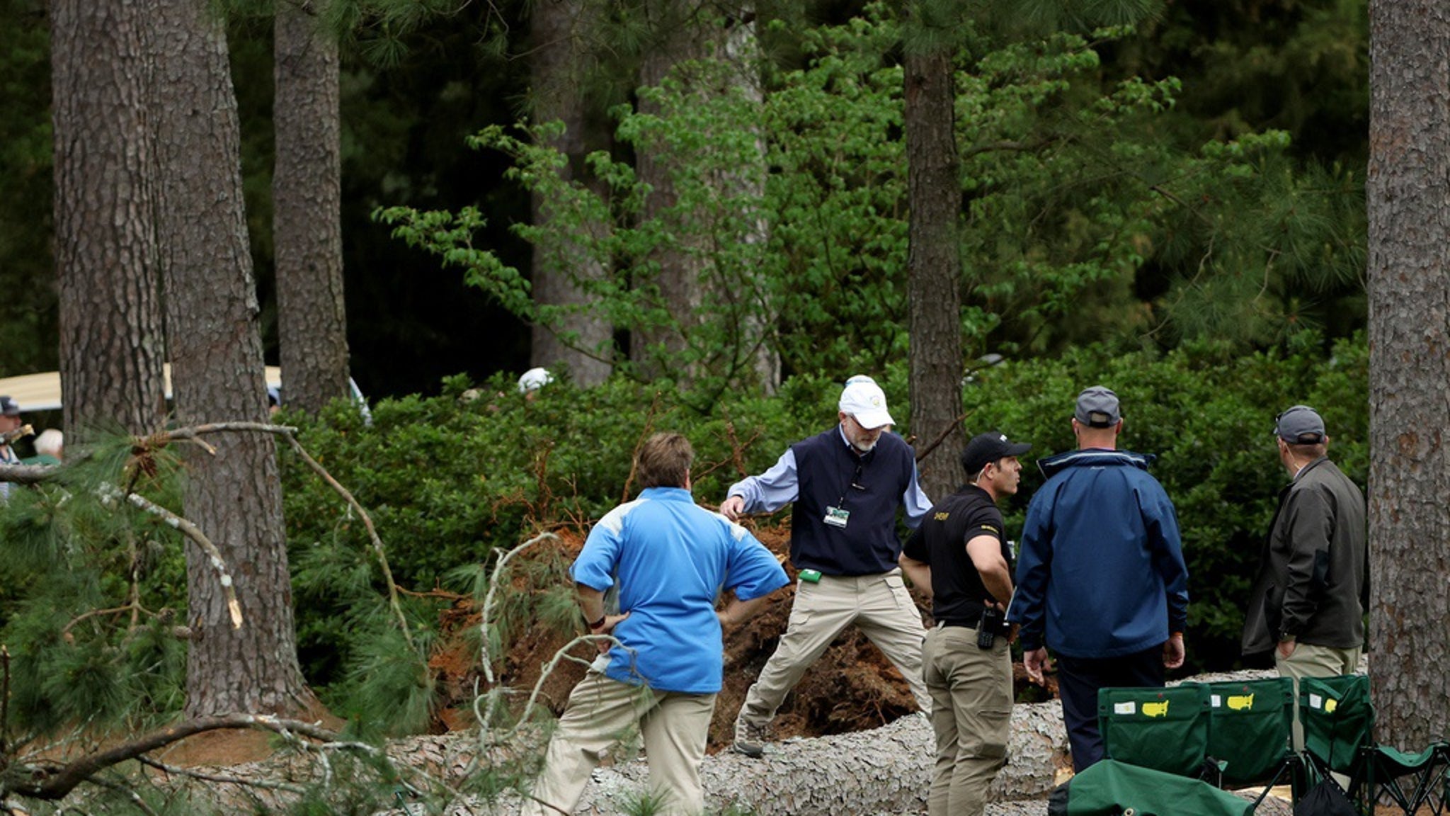 Tree Falls At The Masters