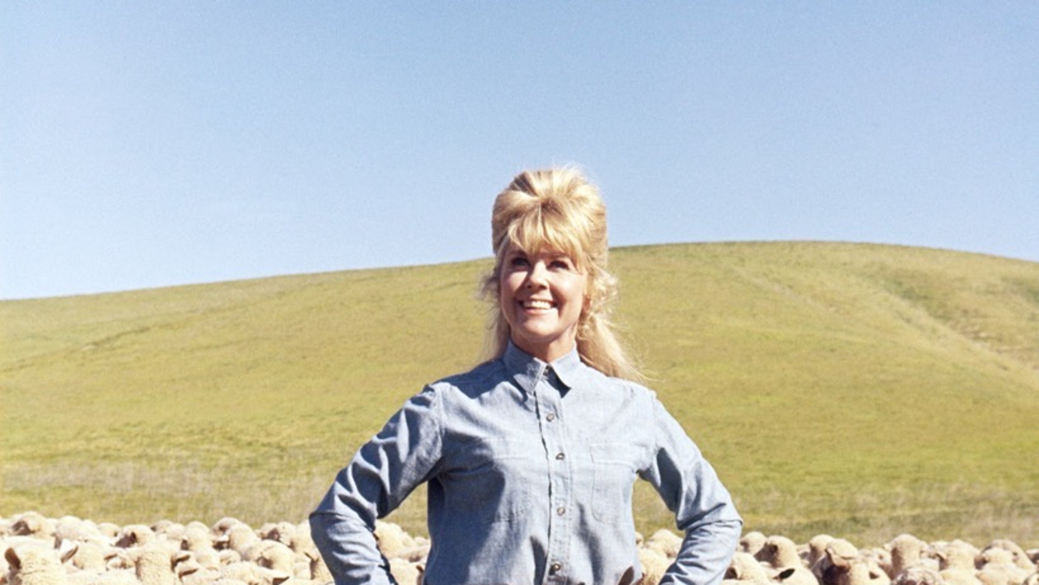 Remembering Doris Day