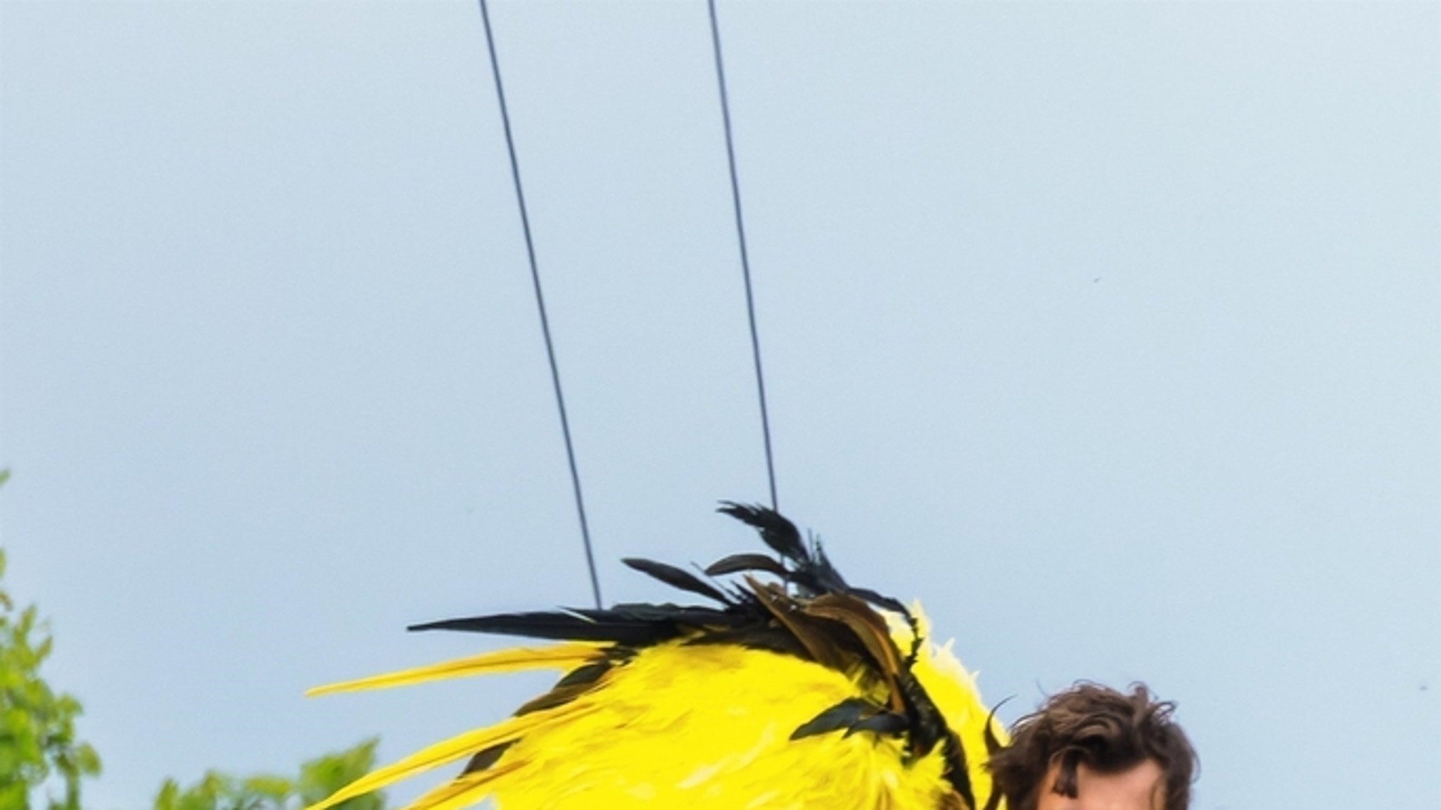 Harry Styles Flies As He Shoots New Video