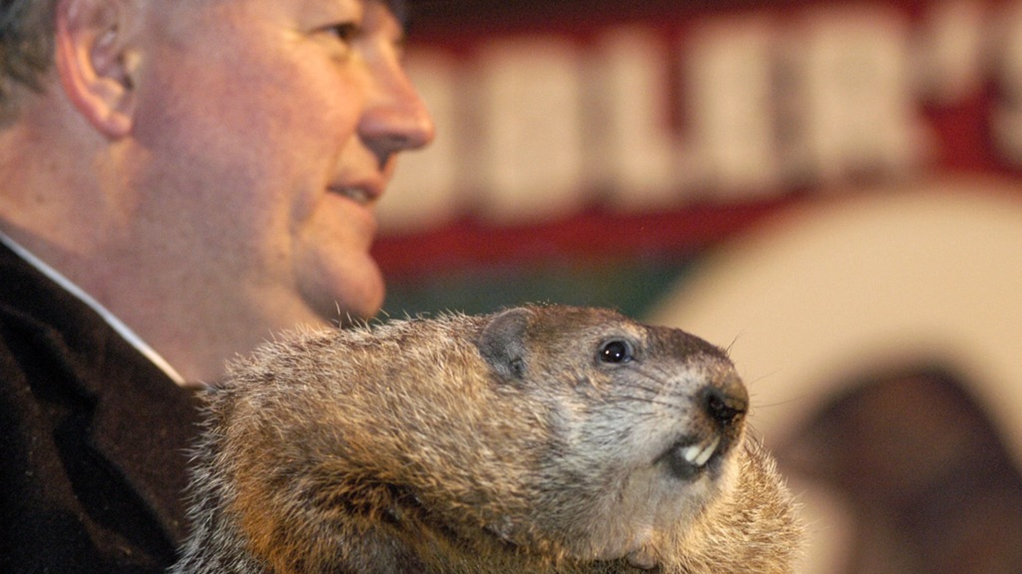 Punxsutawney Phil Through The Years