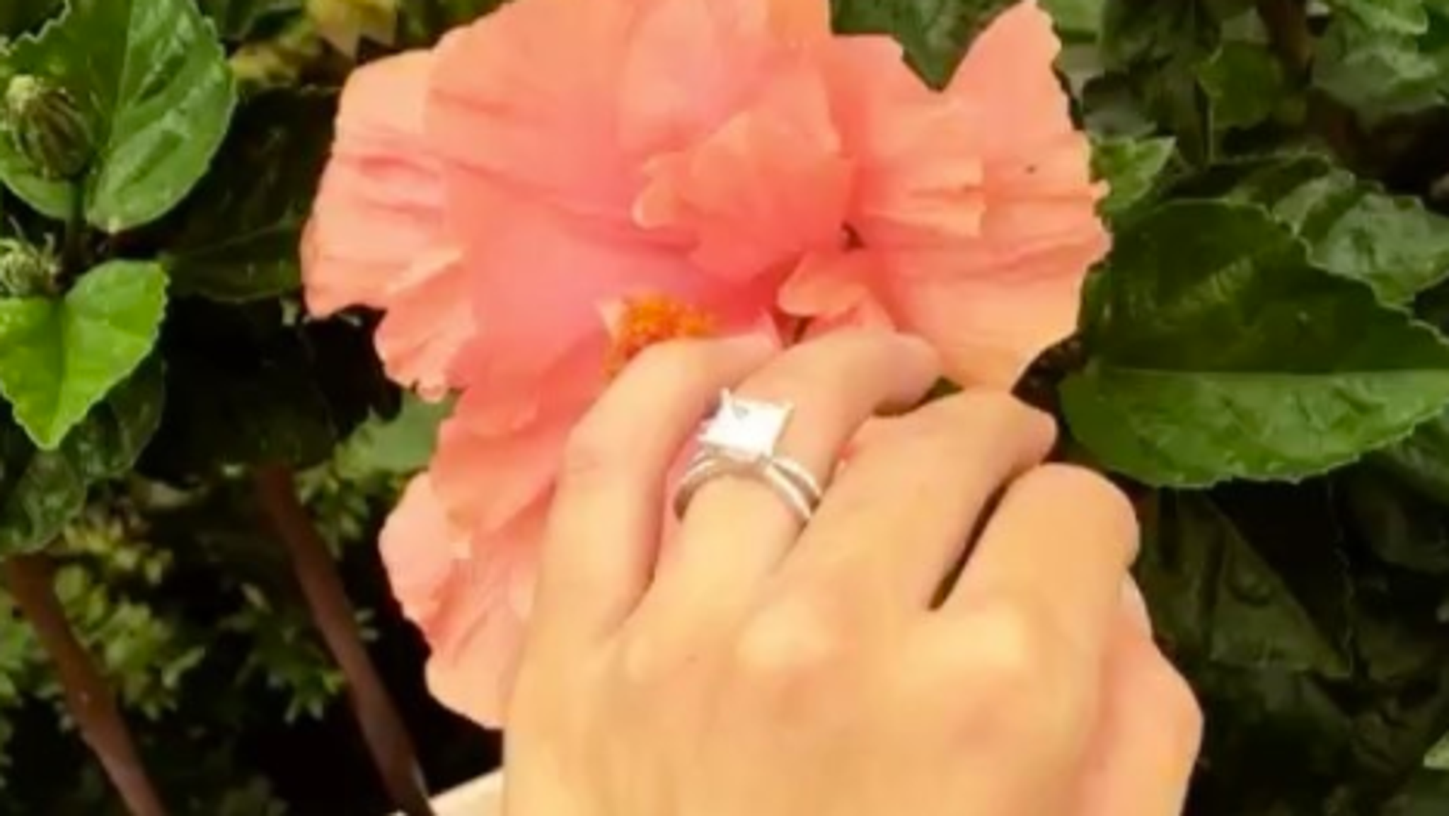 Larry Nance Jr. and Hailey Pince -- The Cute Couple