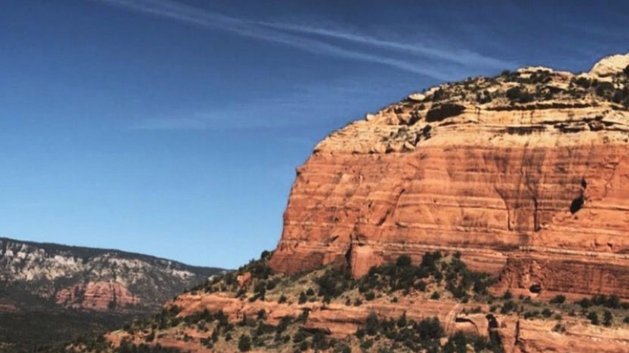 Adam Rippon's Shirtless Shots