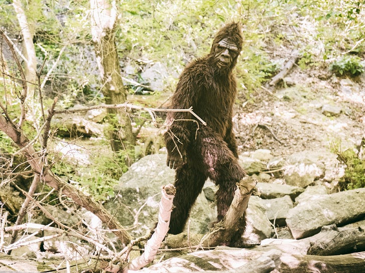 Video A Bigfoot Sighting In Colorado Mountains Stirs Up More Questions Video A Bigfoot Sighting In Colorado Mountains Stirs Up More Questions