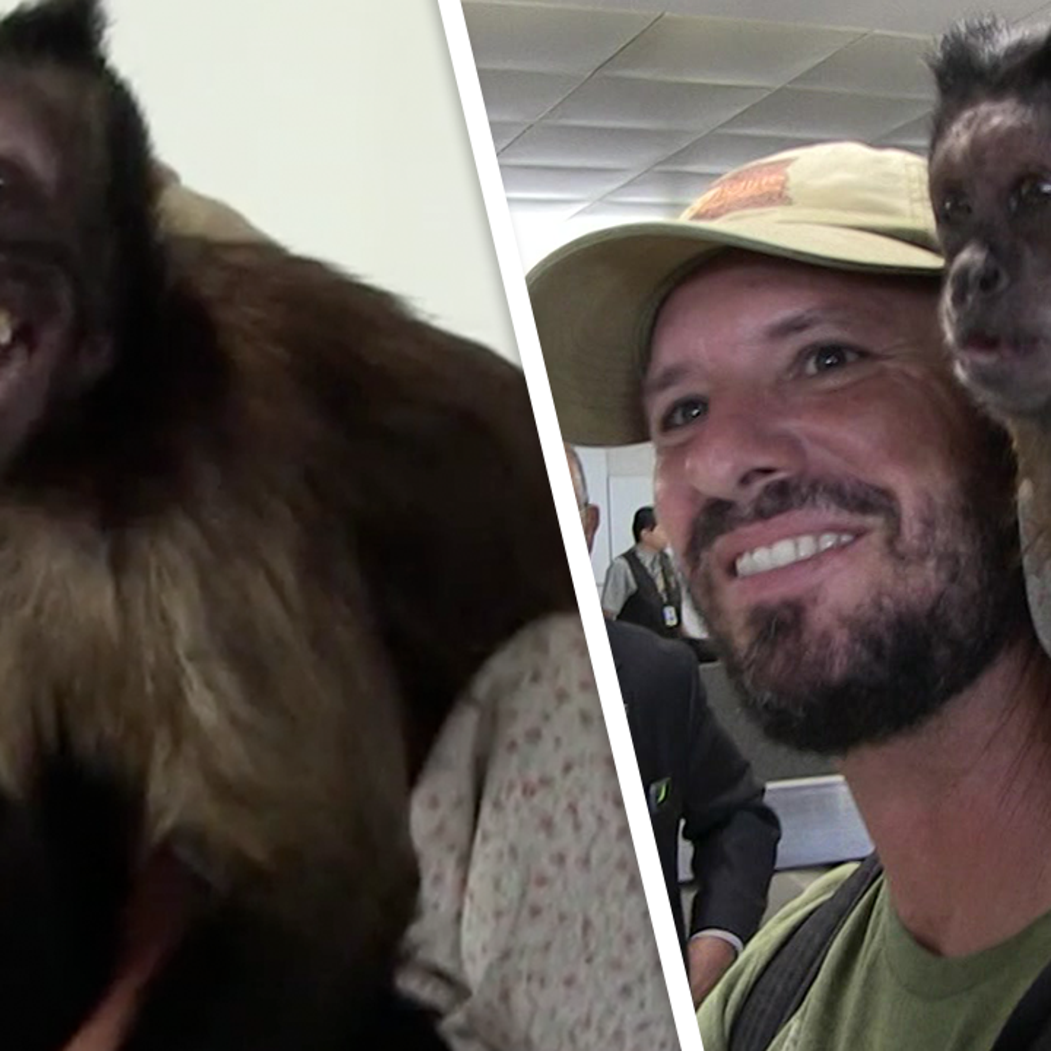 David Monkey's Instagram, Twitter & Facebook on IDCrawl