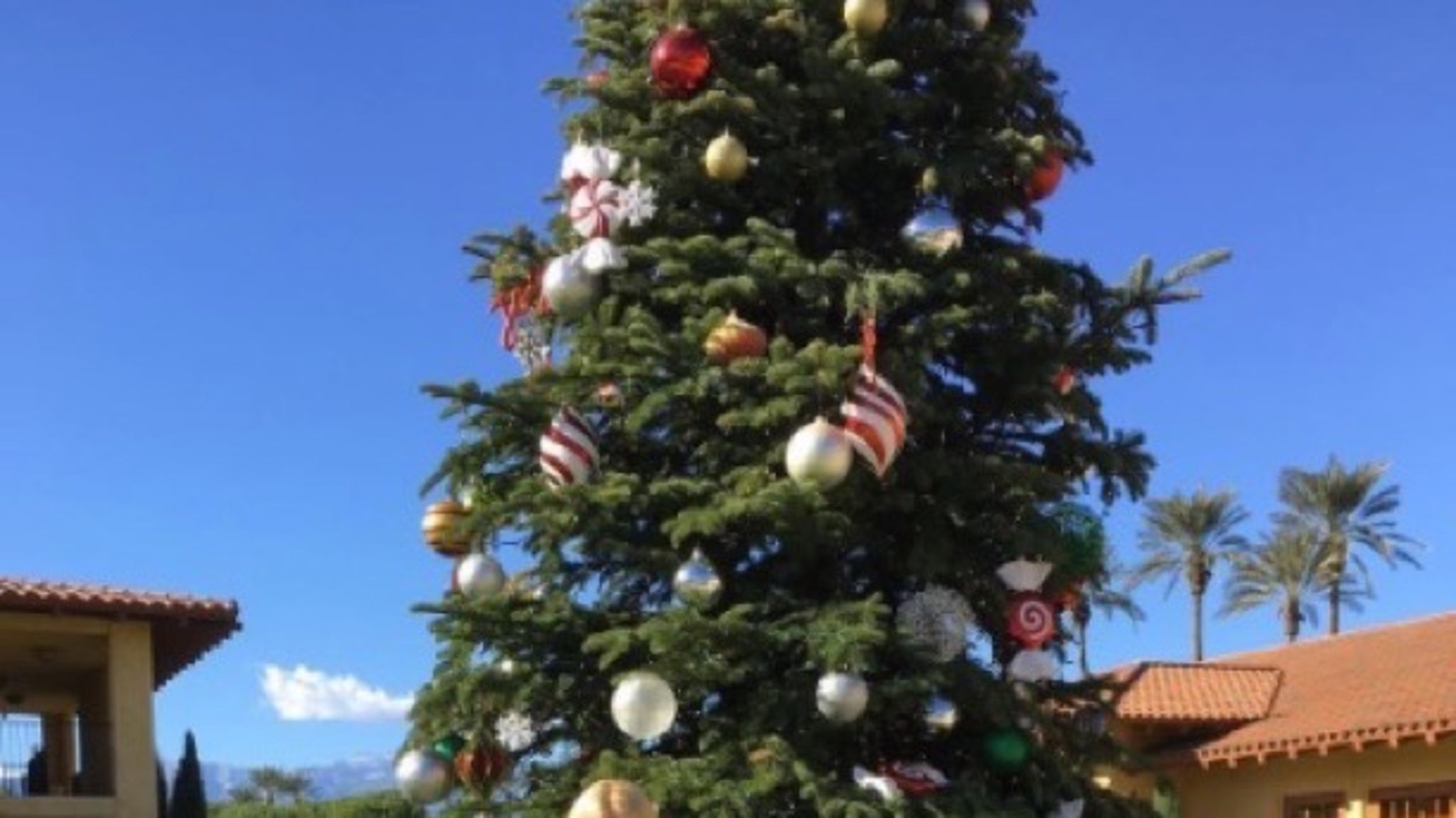 Celebrities' Sky-High Christmas Trees