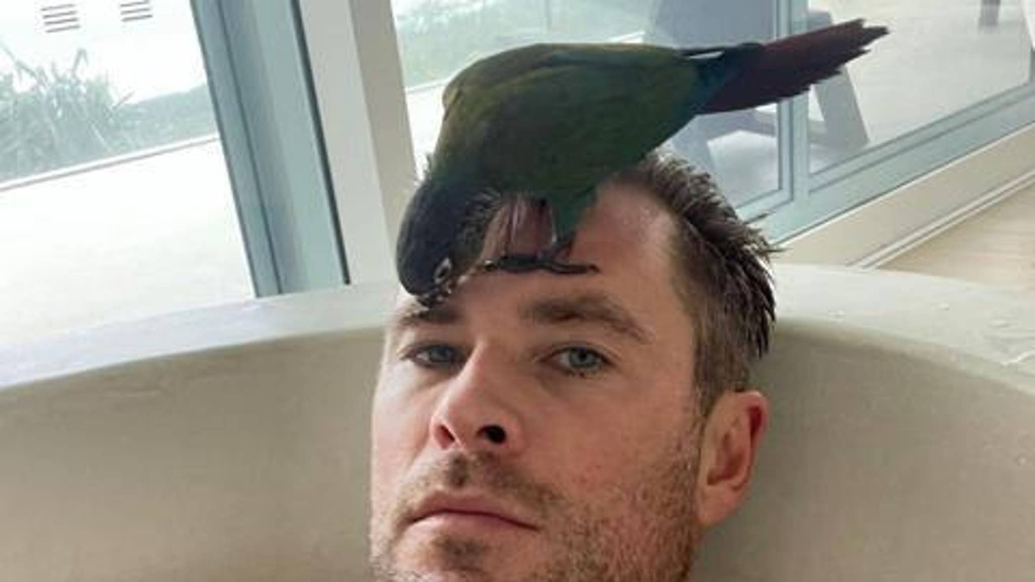 Celebrities With Birds