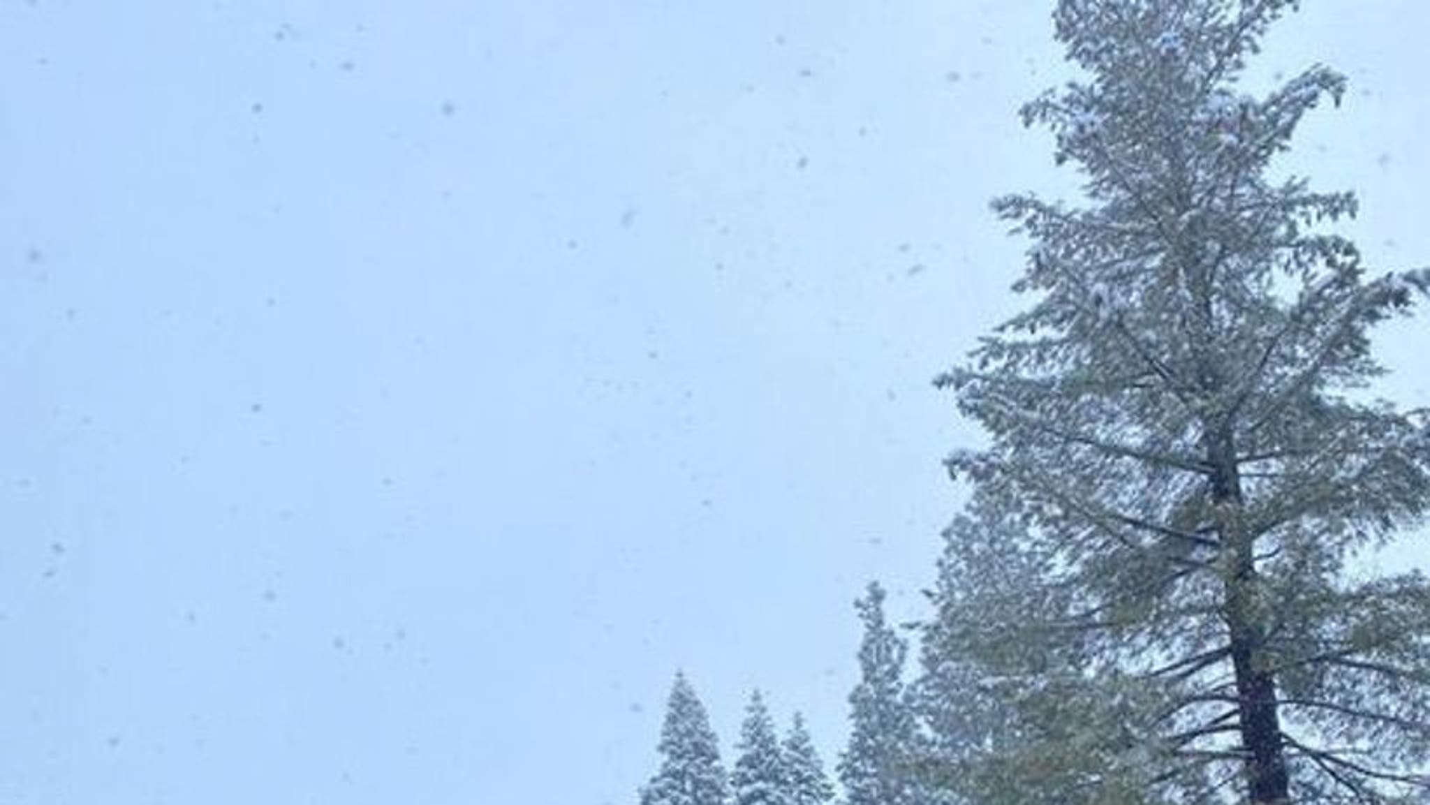 Snowy Stars Playing Winter Sports