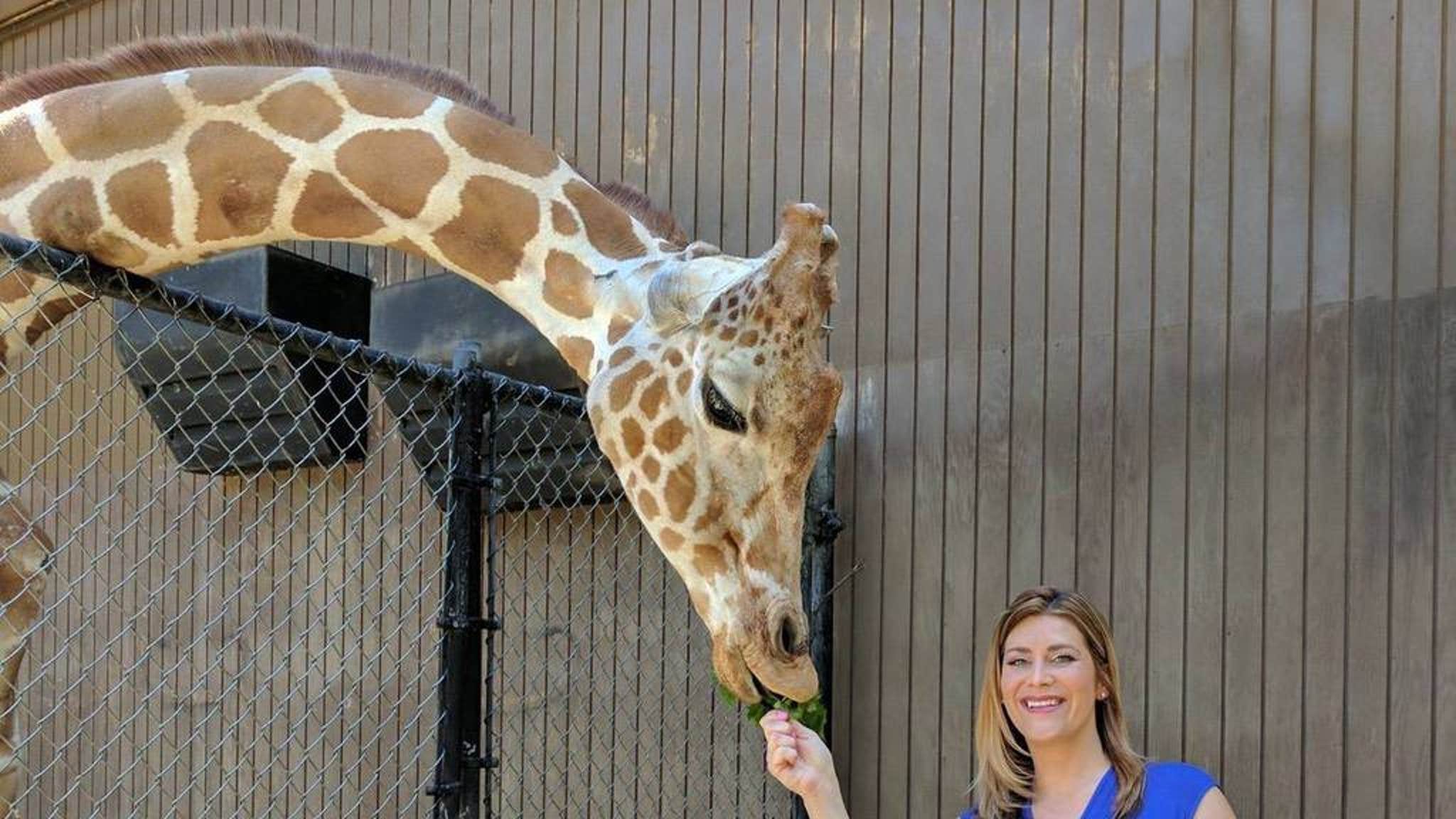 Remembering Emily Matson