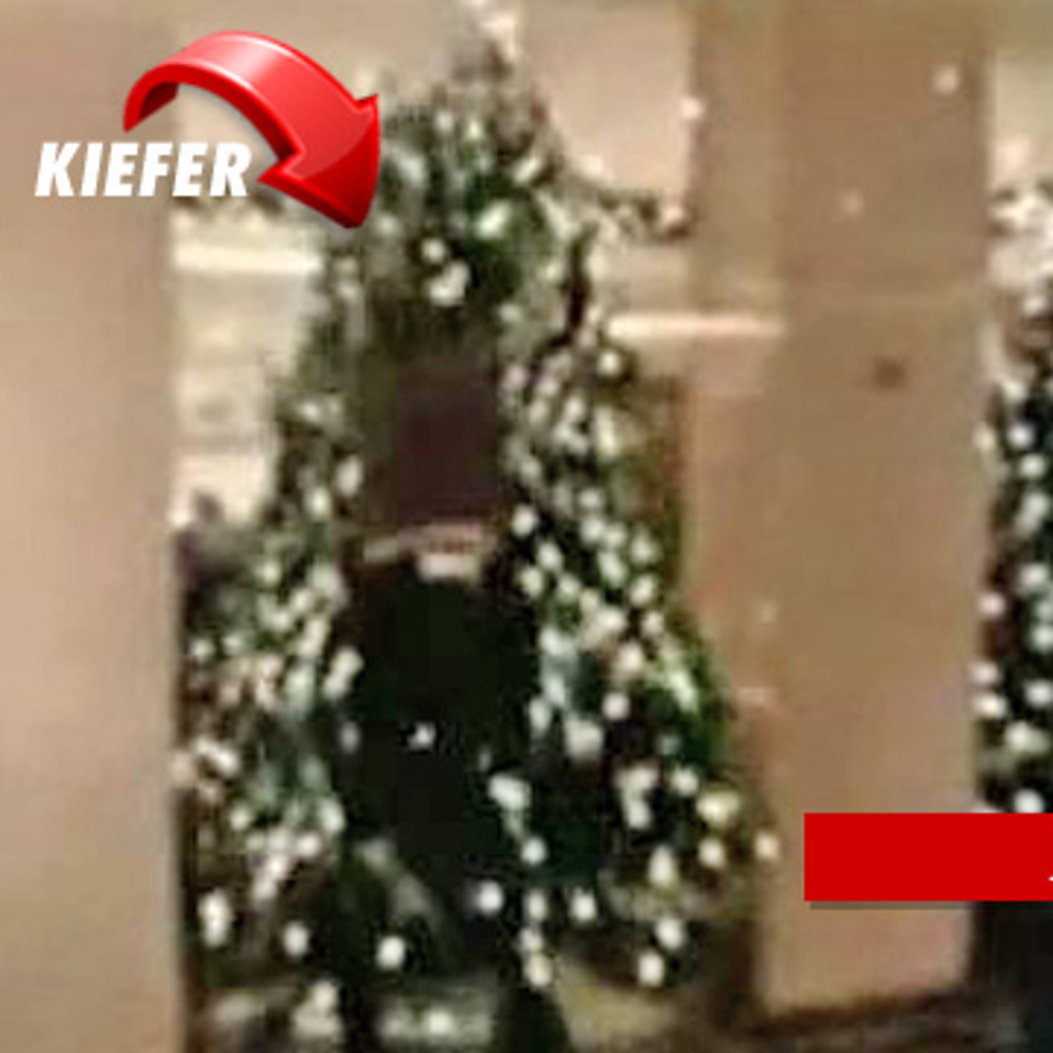 Kiefer Sutherland Christmas Tree