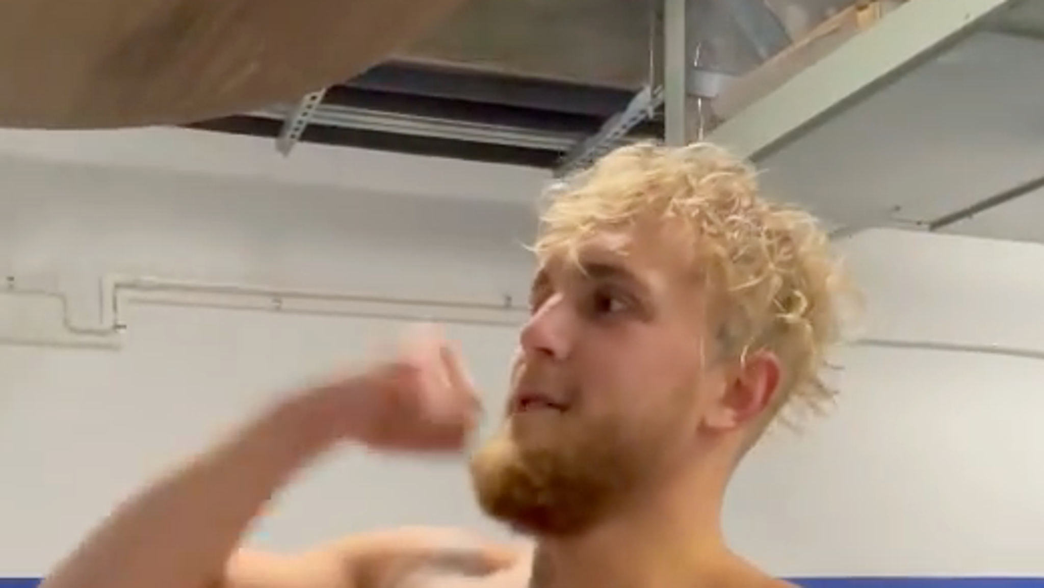 Jake Paul Hot Shots