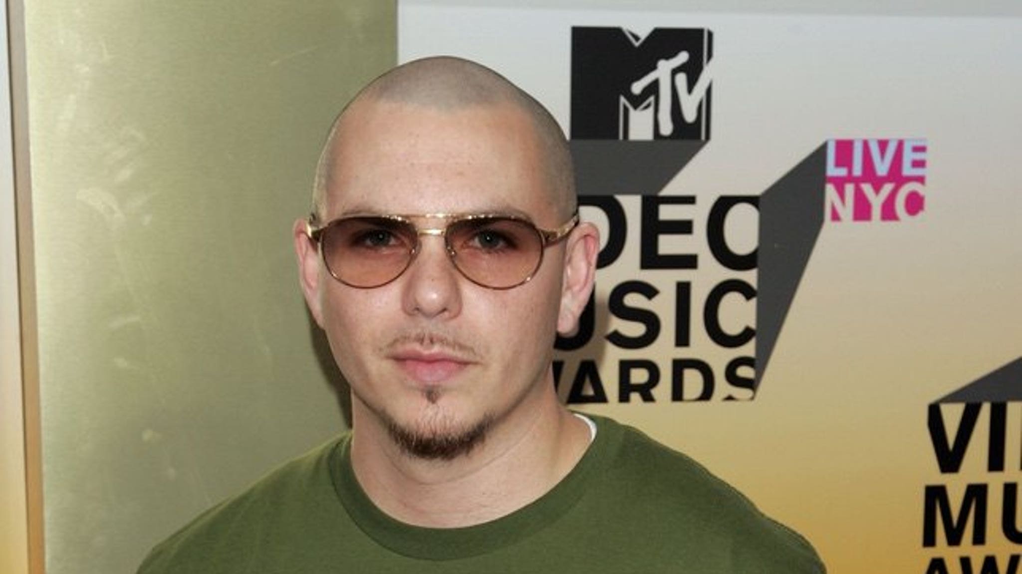 Pitbull Through The Years