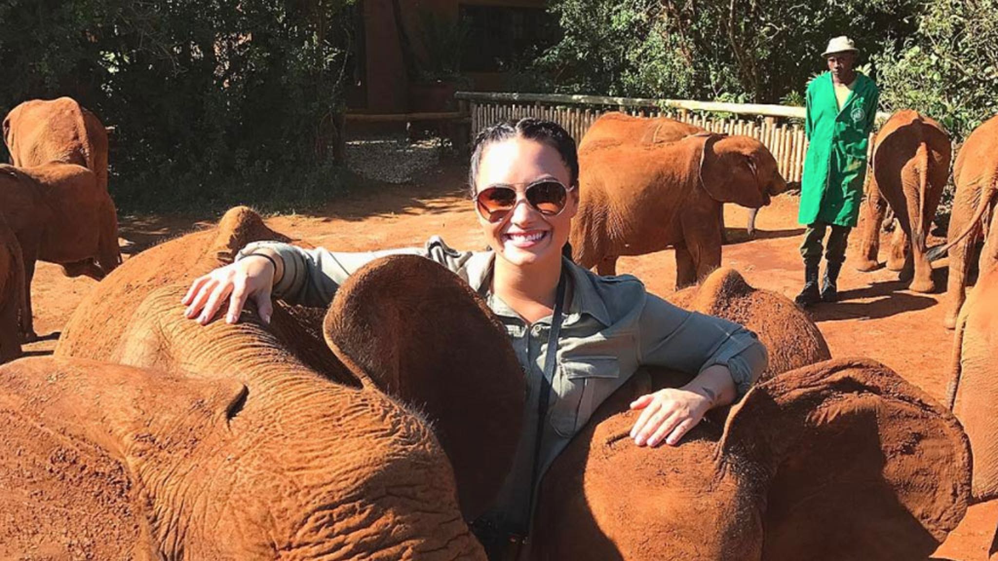 Stars With Elephants