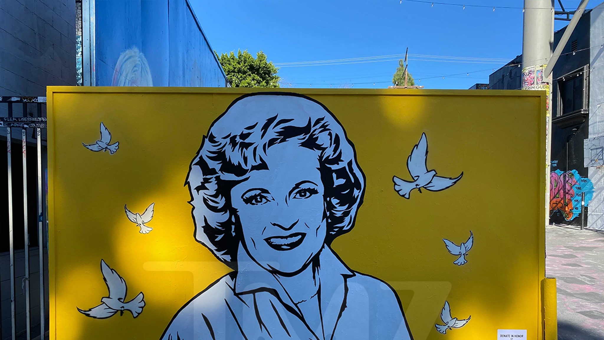 Betty White Mural Encourages Dog Rescue Donations Melody Maker Magazine