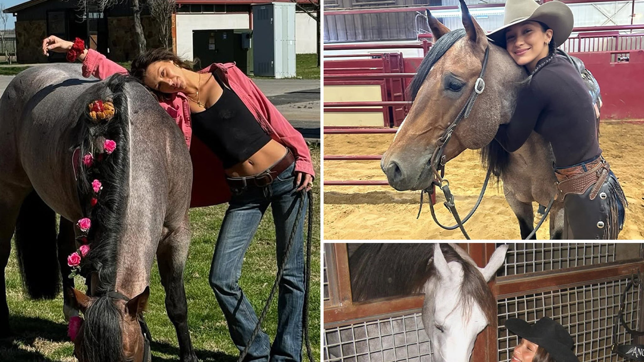 Bella Hadid S Pony Pics
