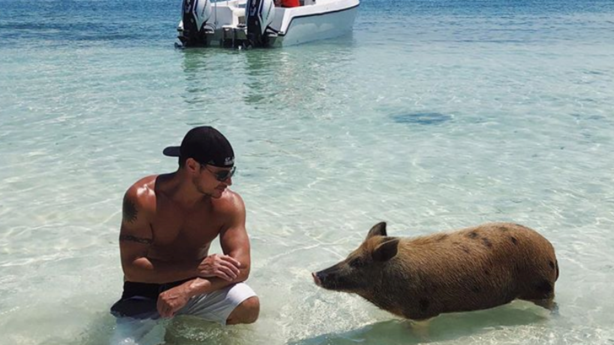 Celebs Pigging Out