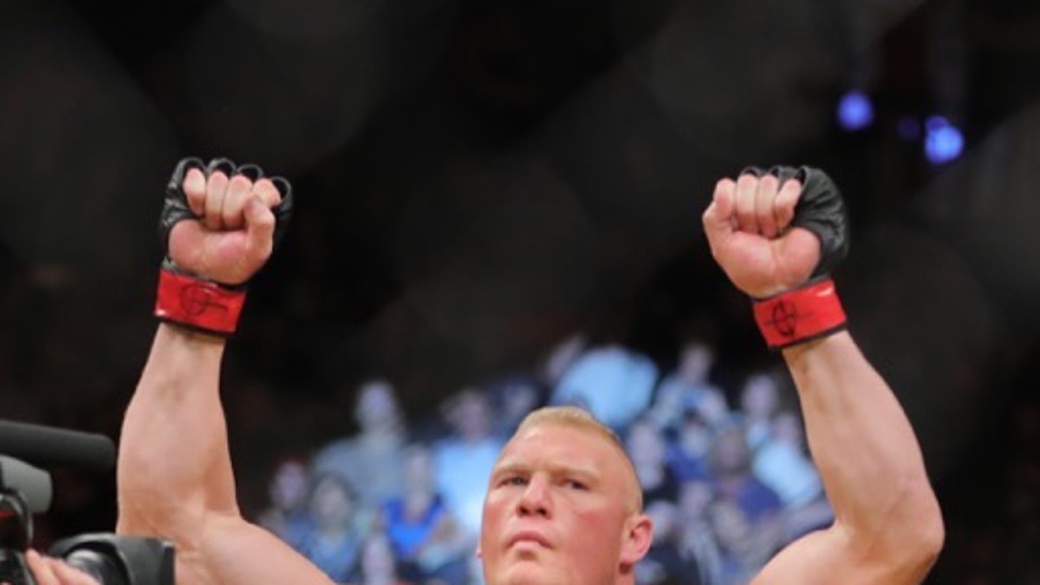 Brock Lesnar's Fight Photos