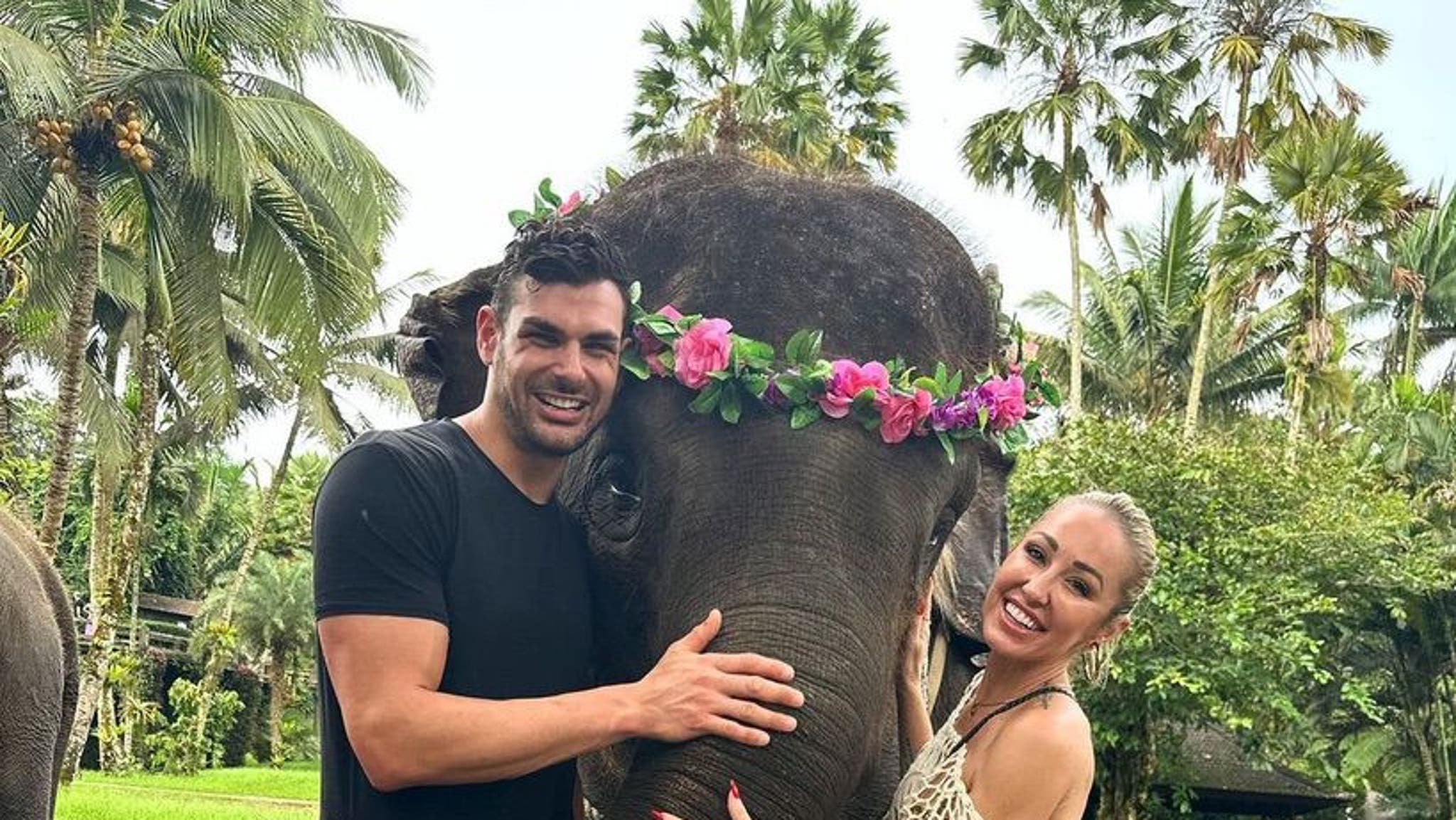 Stars With Elephants