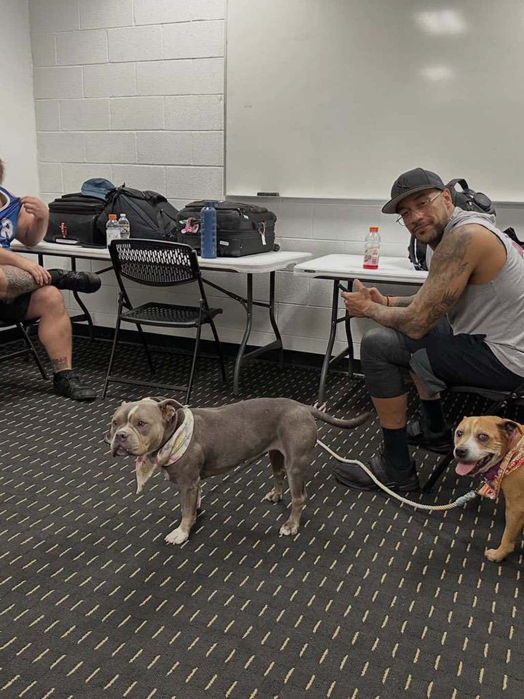 Sheamus' Dog Betty
