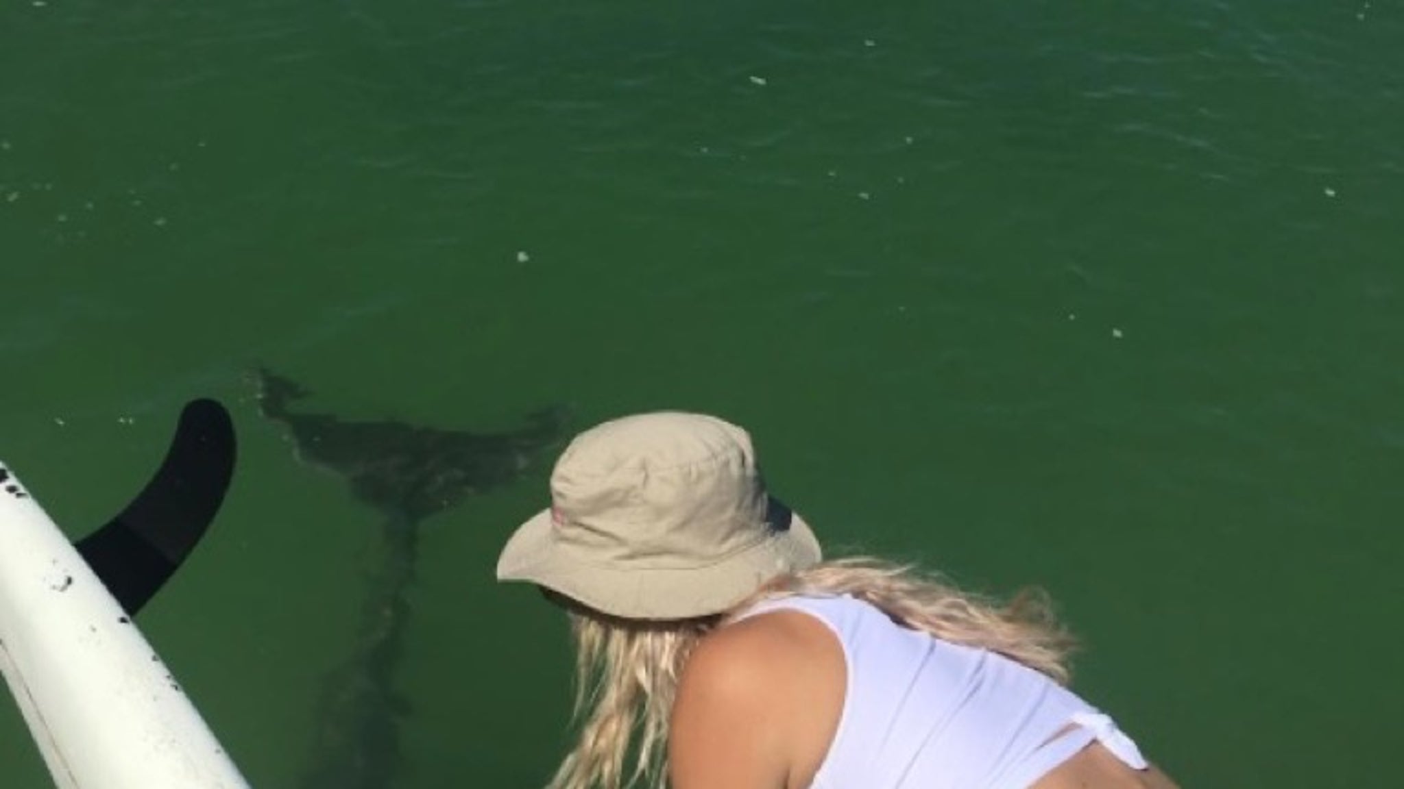 Rachael Finley's Hot Shots