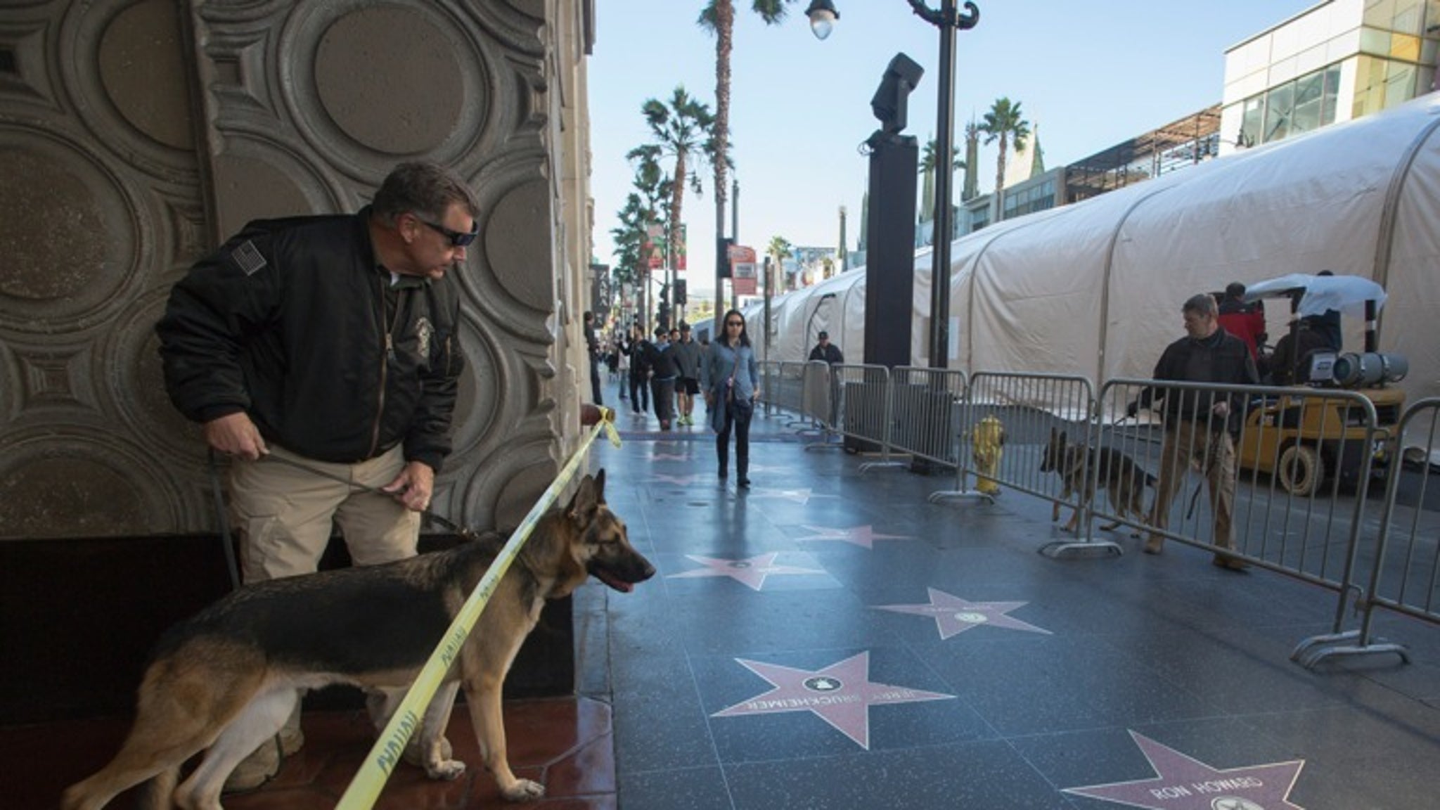 "Star Wars: The Force Awakens" -- The Police Presence